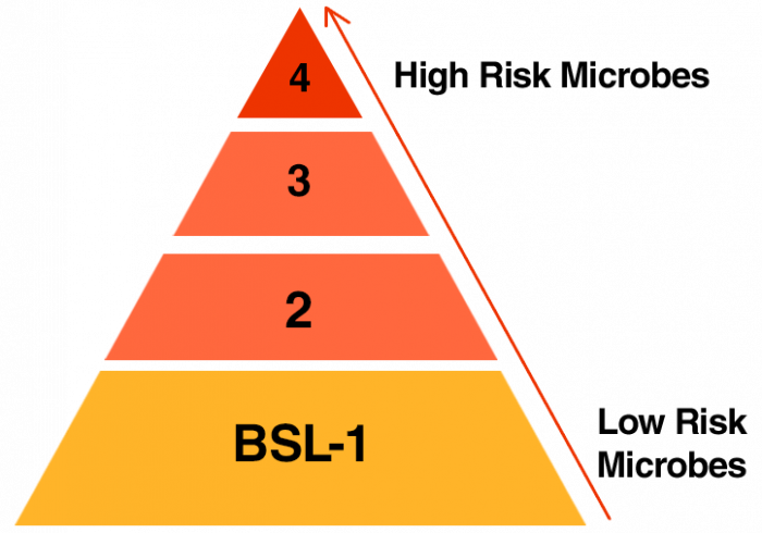 Determine Your Biosafety Level Design Requirements | PRI